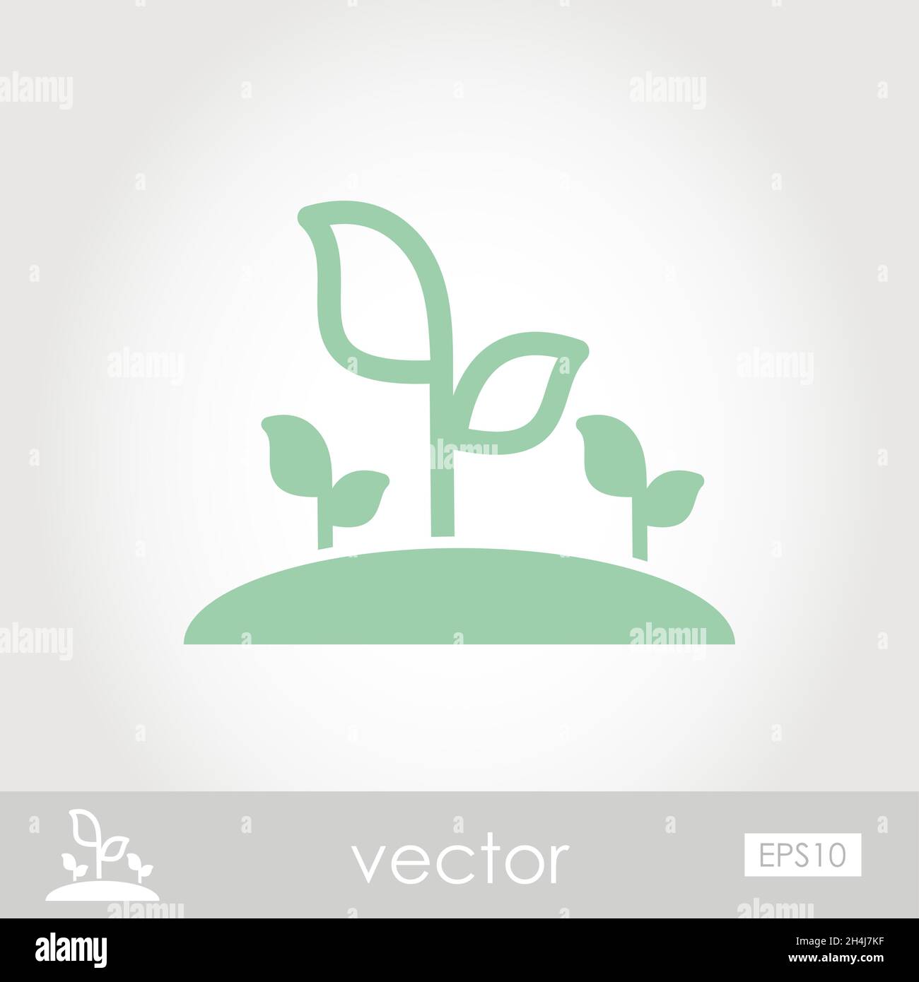 Plant sprout vector icon outline, eps 10 Stock Vector Image & Art - Alamy