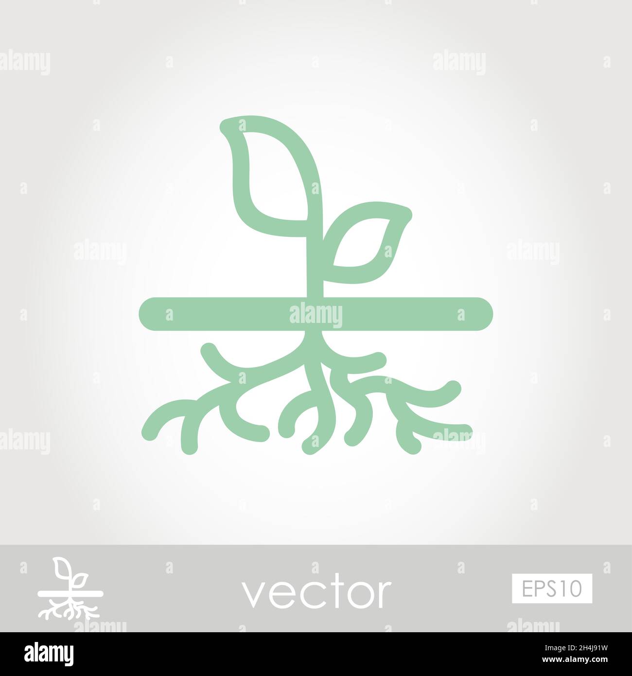 Plant with roots vector icon outline isolated, garden, eps 10 Stock ...