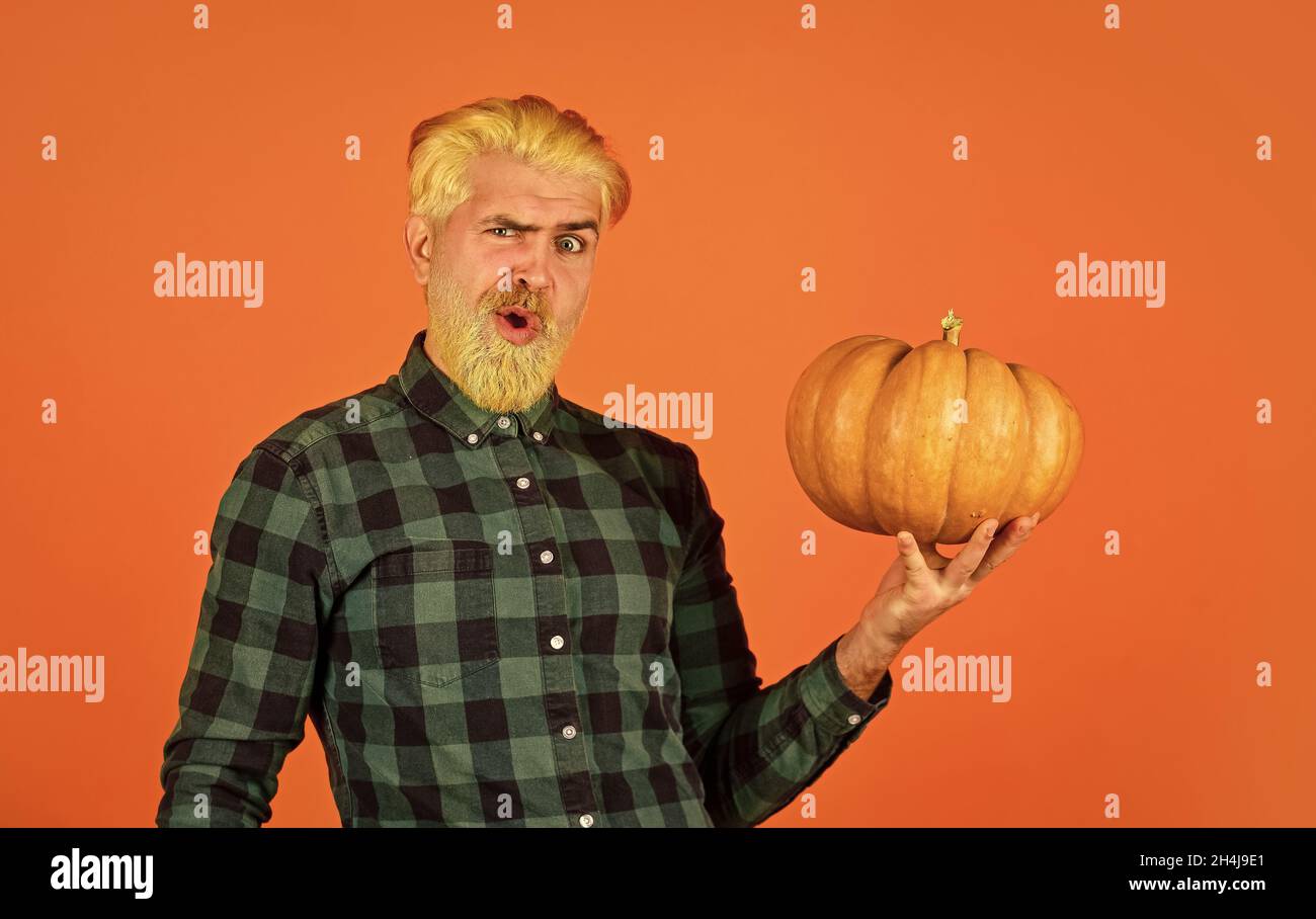 Harvest in garden. Homegrown pumpkin. Eat healthy. Organic farming ...