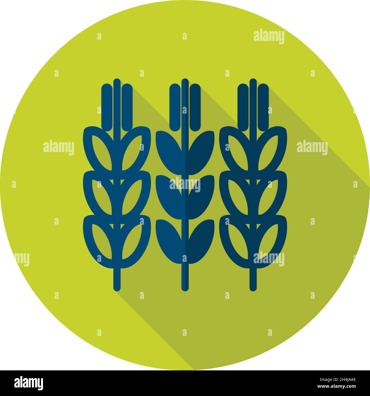 Spikelets and grains of wheat icon. Agriculture sign. Graph symbol for your web site design ...