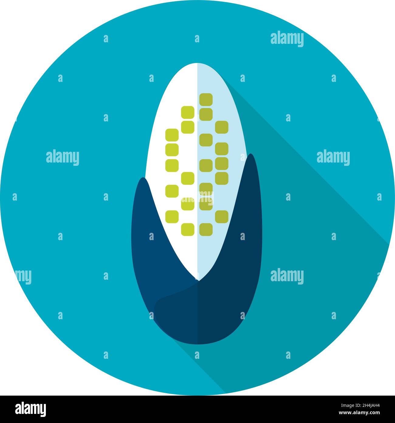 Corncob flat icon. Agriculture sign. Graph symbol for your web site ...