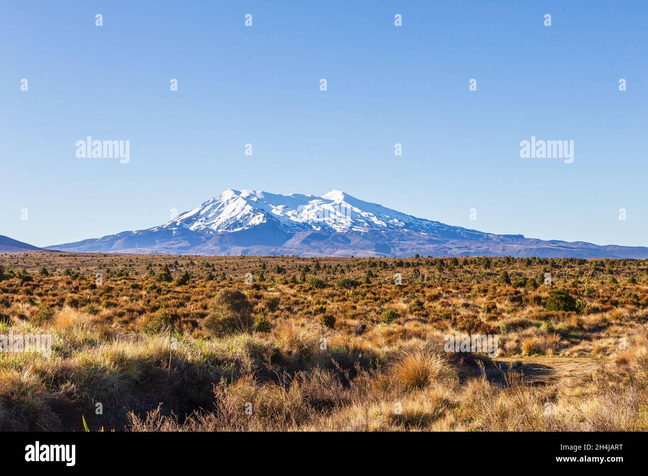 Tongariro National Park. Tongariro mountain. North Island. New Zealand ...