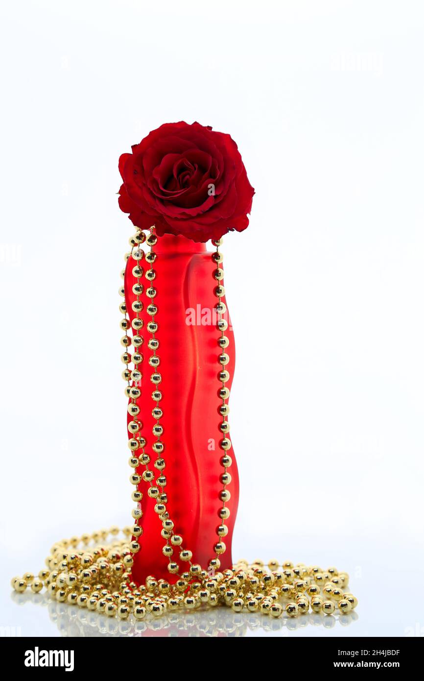 Beautiful Roses With Pearls