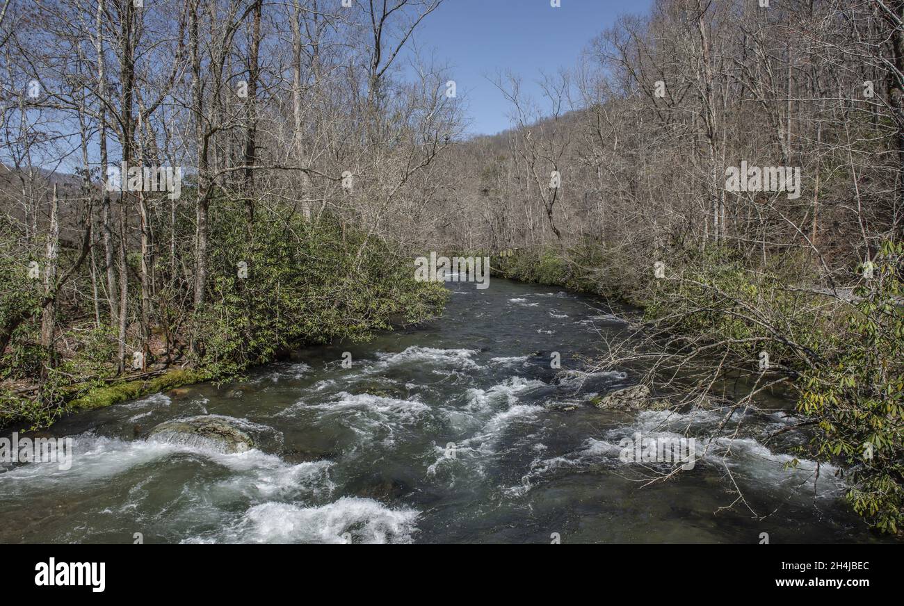 River in Great Smoky Mountains National Park Gatlinburg USA Stock Photo ...