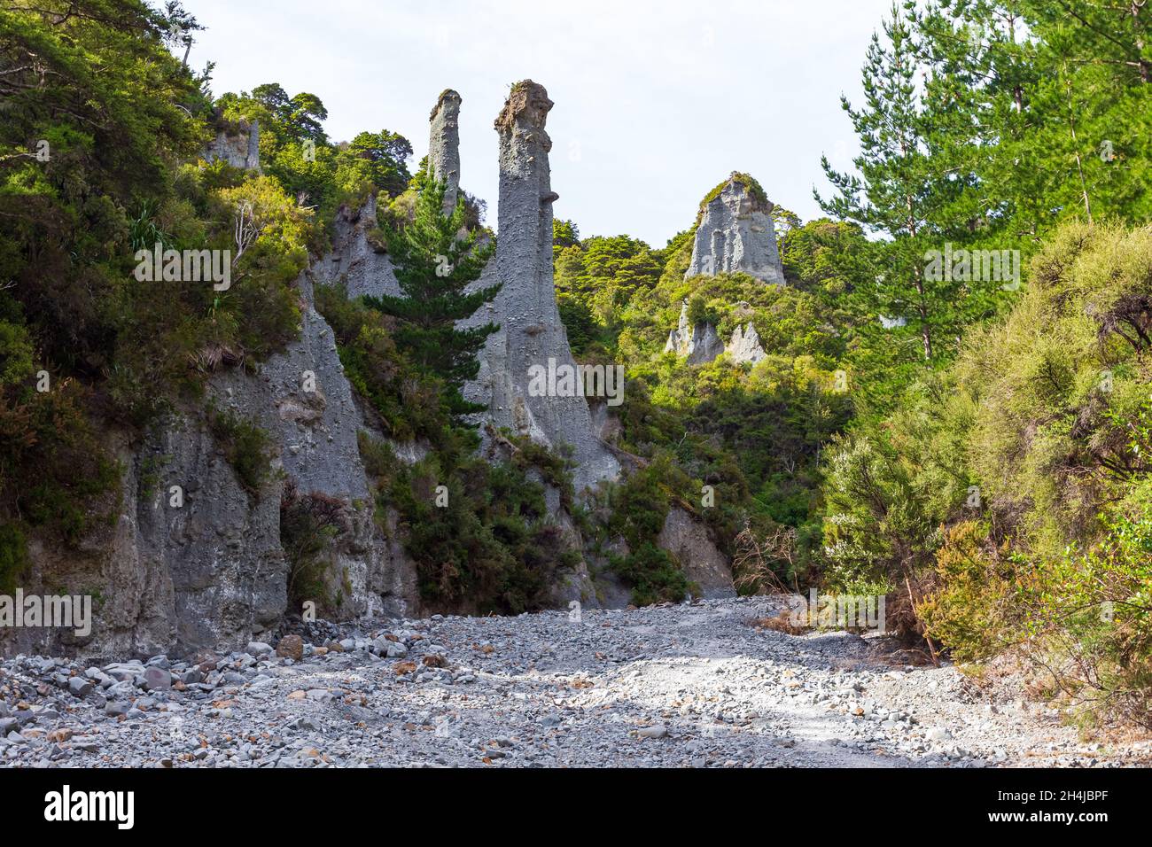 Beauty of nature. Valley of New Zealand. Putangirua Pinnacles. North ...