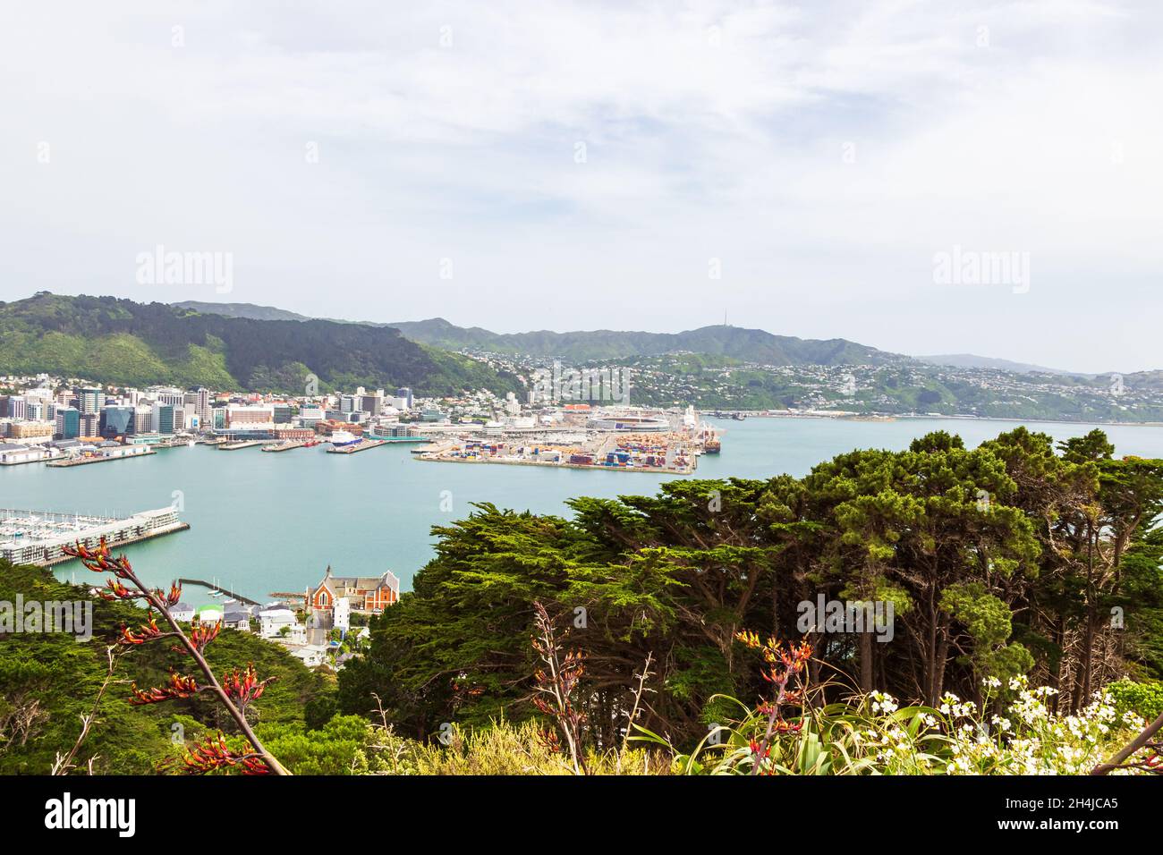 Wellington is the capital of an island nation. New Zealand Stock Photo ...