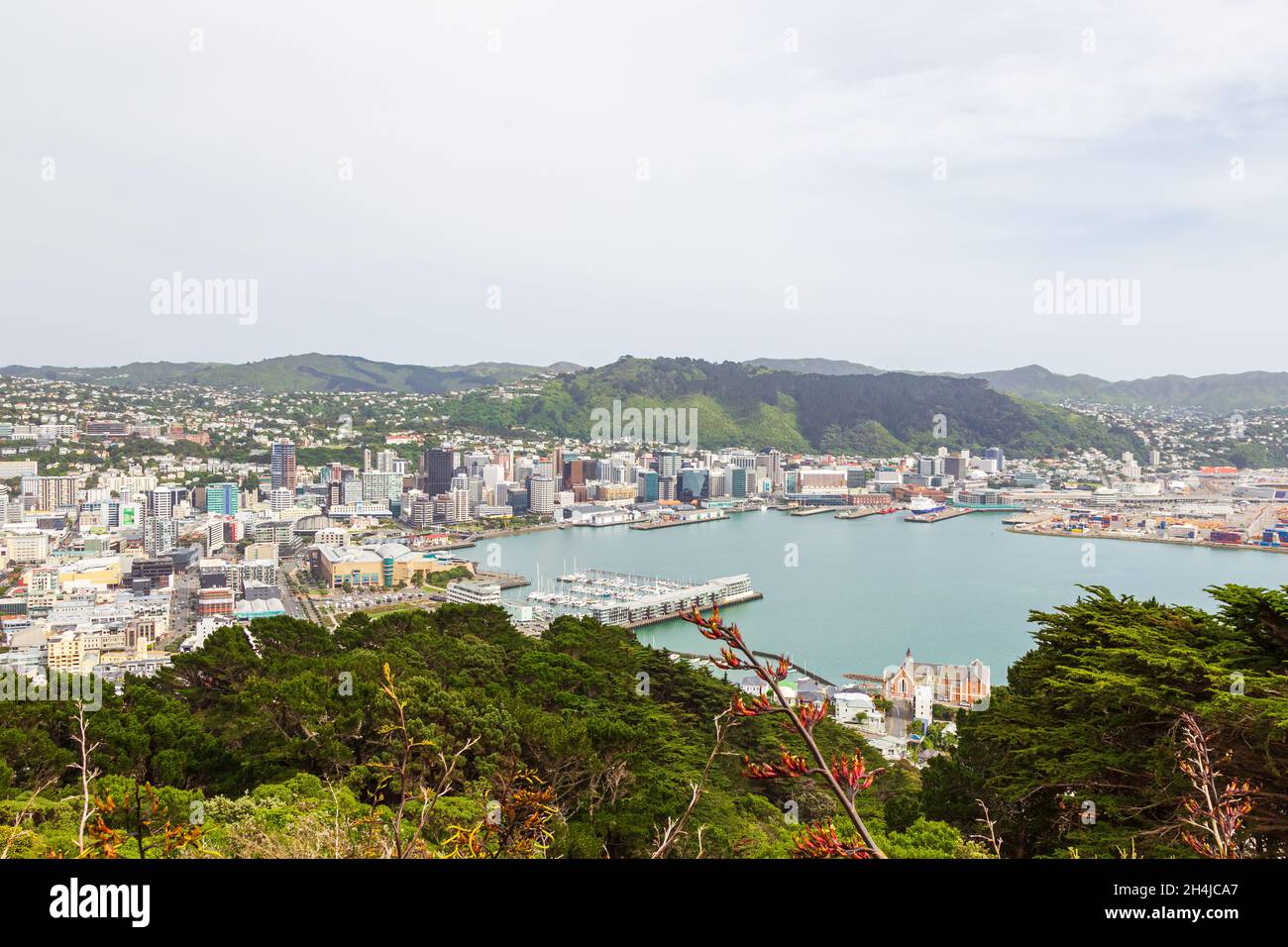 Top view of the city of Wellington. New Zealand Stock Photo - Alamy