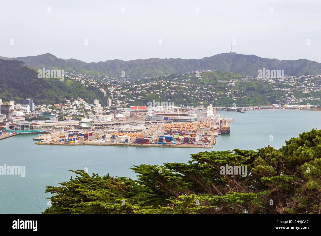 Mount victoria lookout wellington hi-res stock photography and images ...