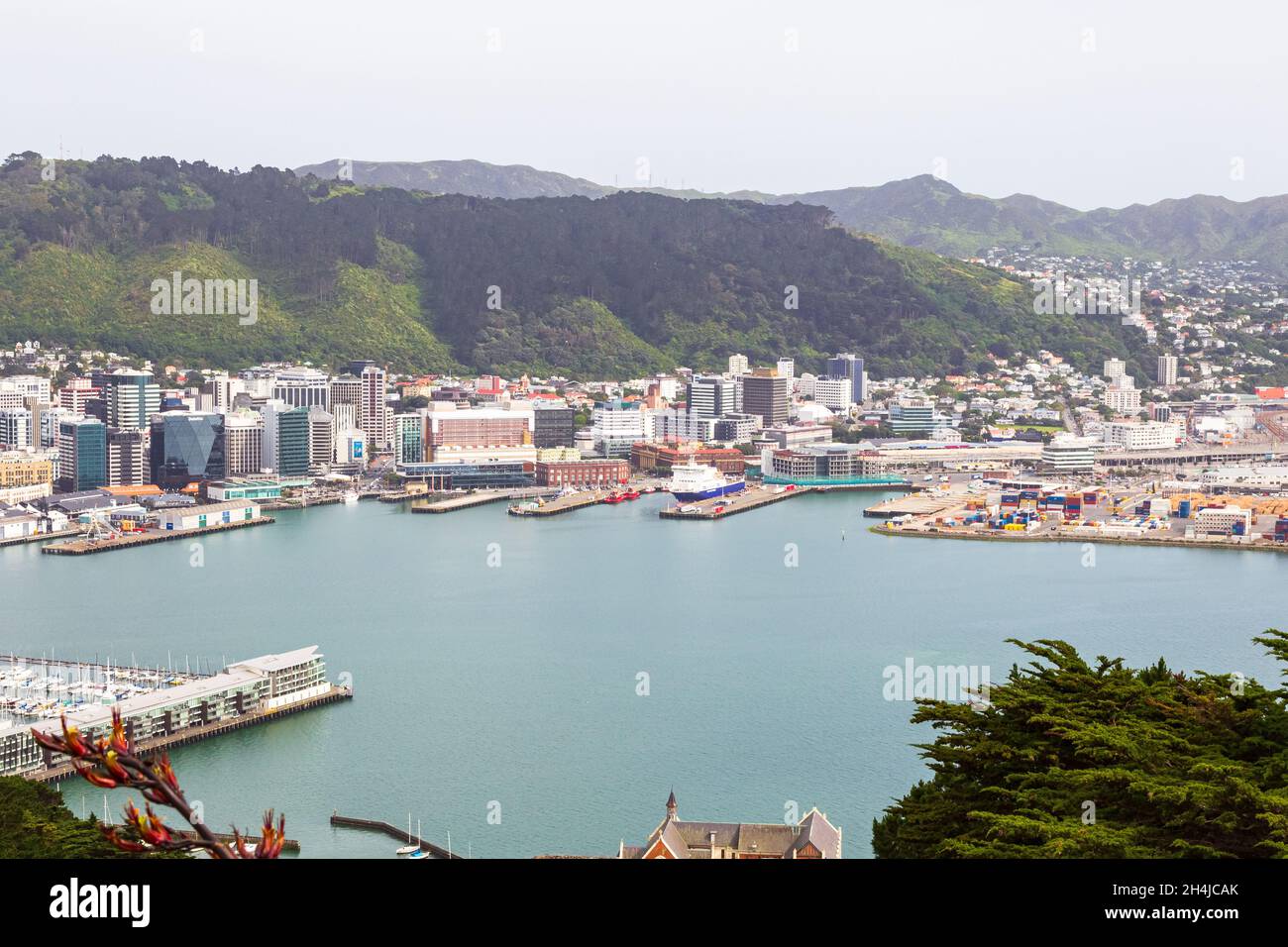 The capital of New Zealand from above. North Island, New Zealand Stock ...