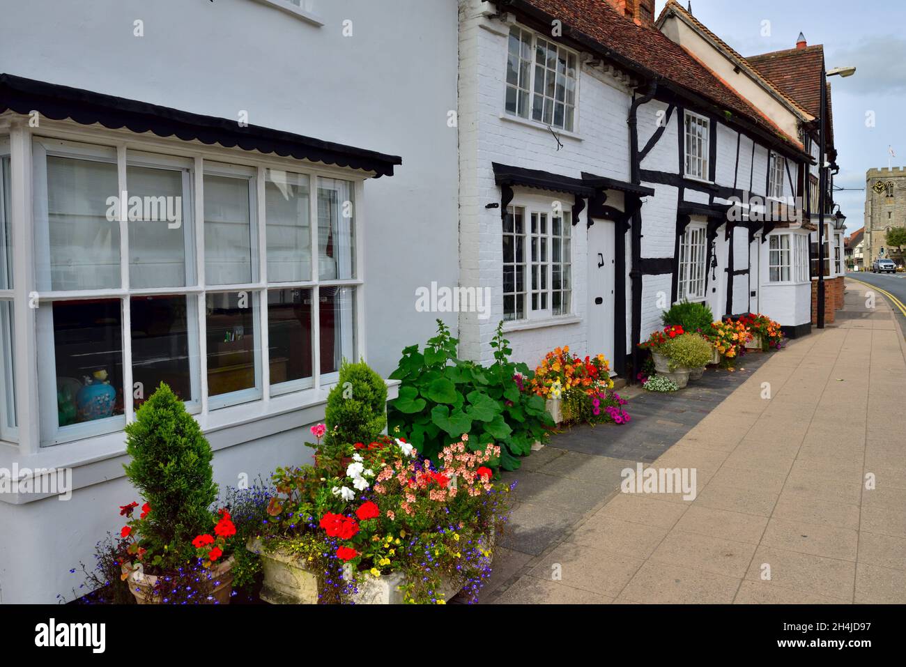 Potted flowering plants along pavement in front of houses historic ...