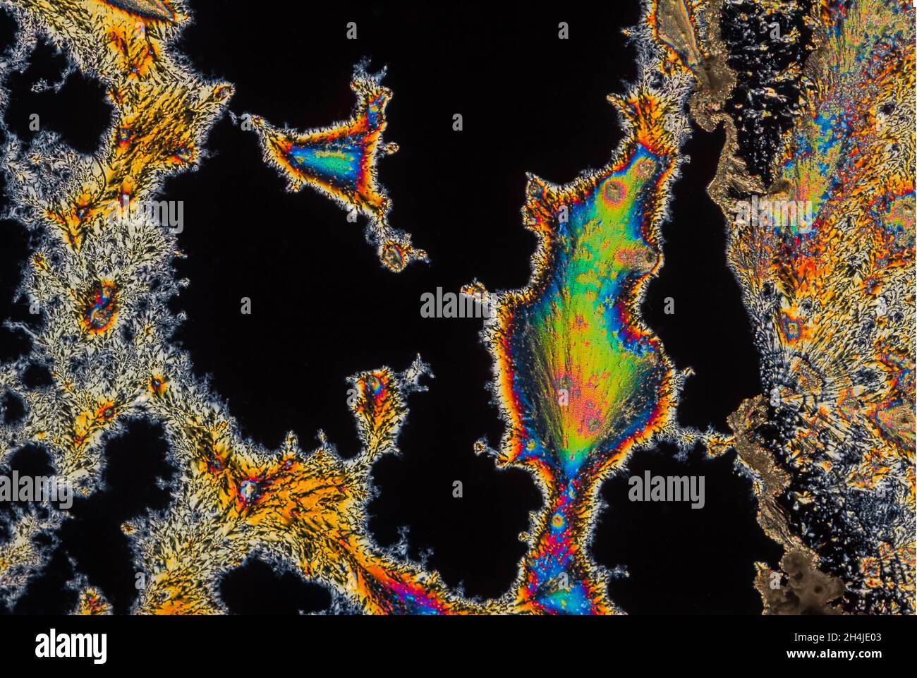 Polarized light microscopy hi-res stock photography and images - Alamy