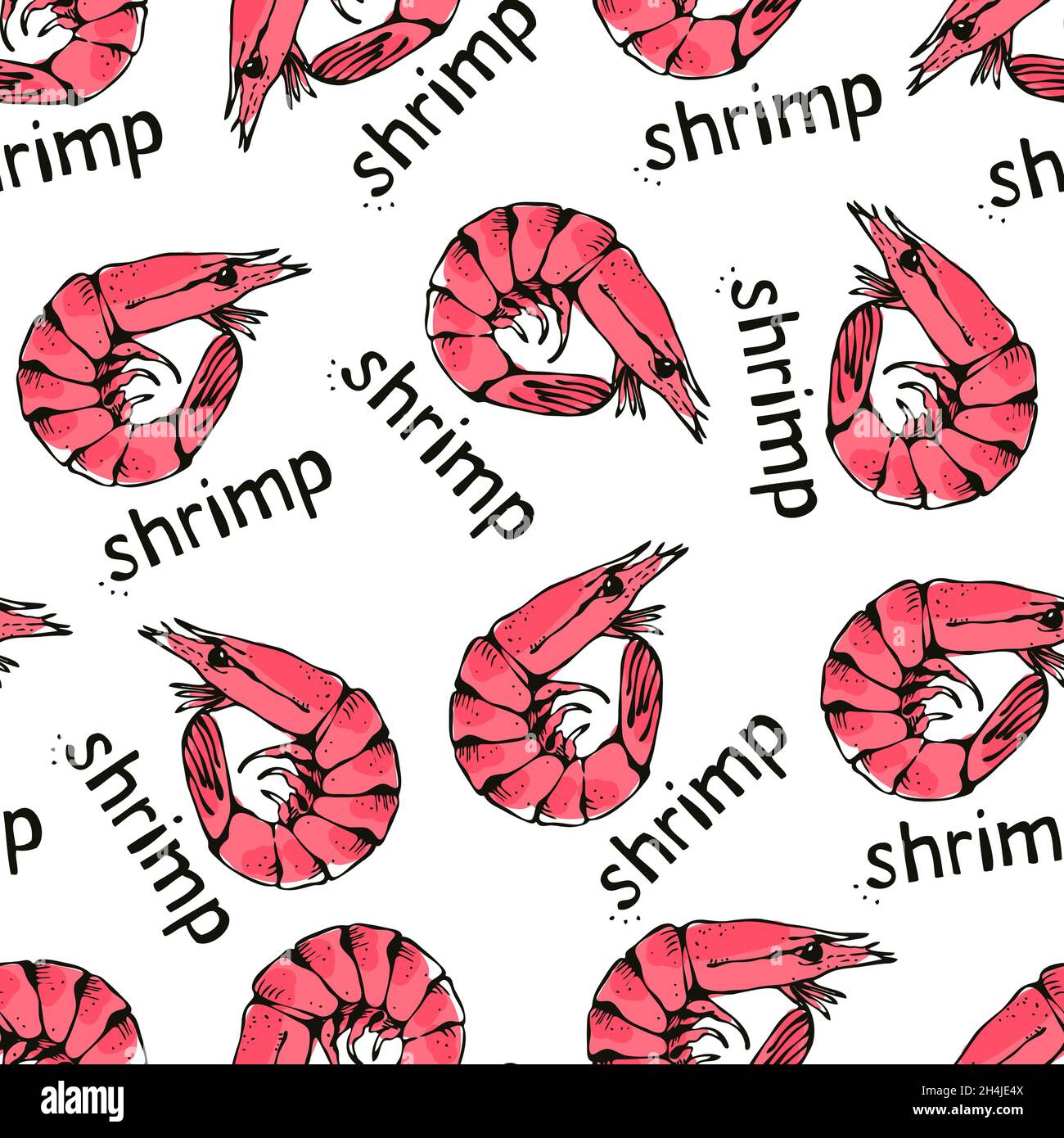 Sea shrimp vector vectors hi-res stock photography and images - Alamy