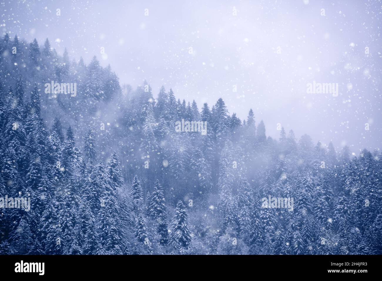 Snow blizzard in the mountain. Winter background Stock Photo - Alamy