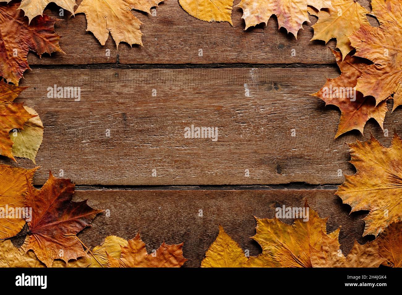 Autumn leaves on wooden background with copy space. Wallpaper for ...