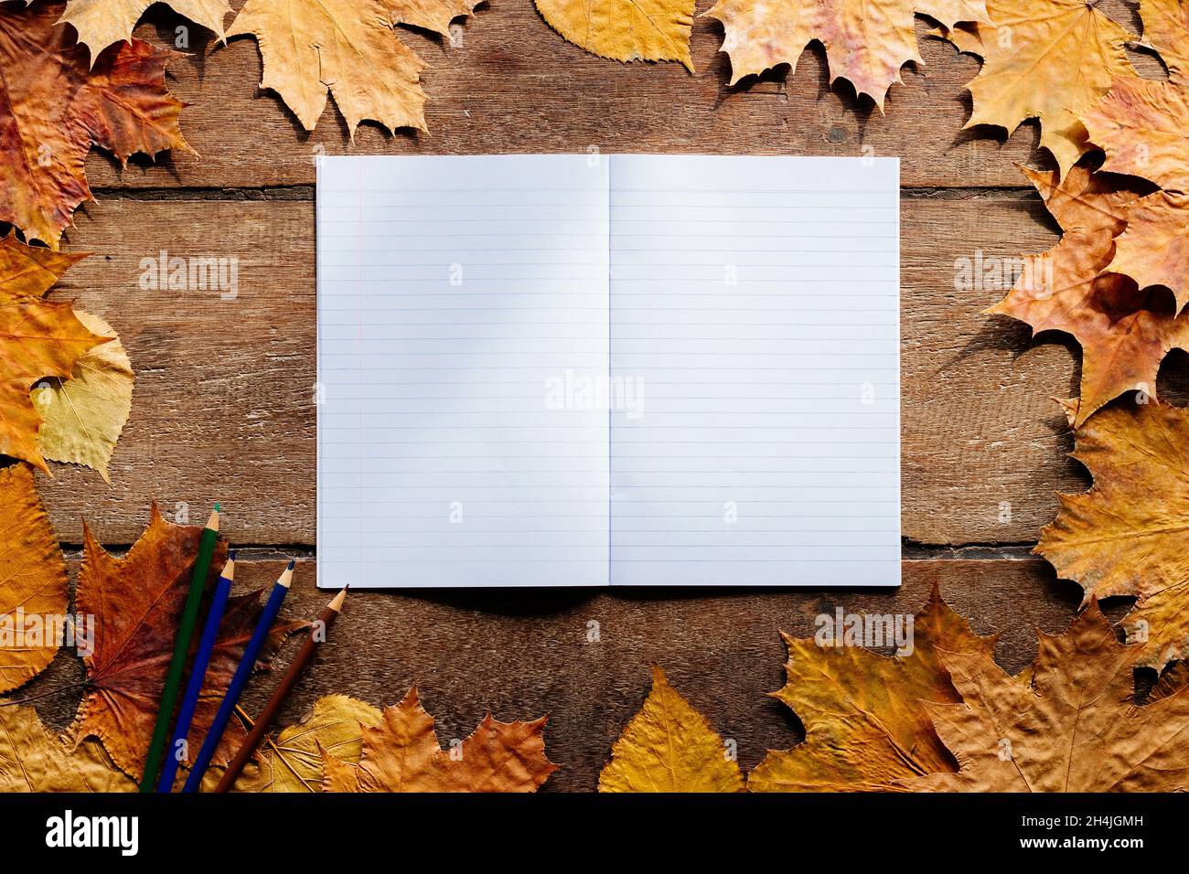 Autumn leaves with notebook on wooden background with copy space ...