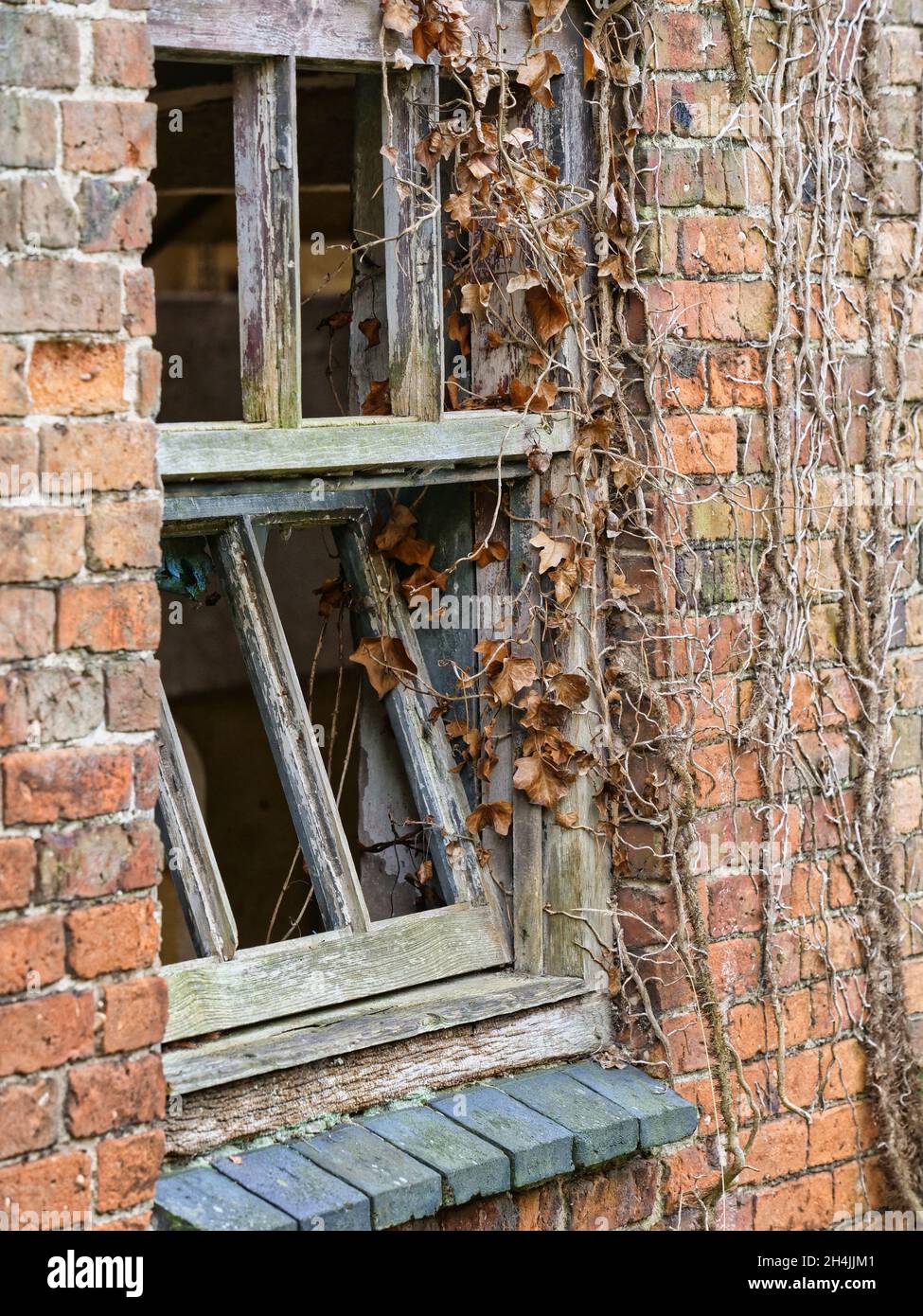 old timber framed window Stock Photo - Alamy