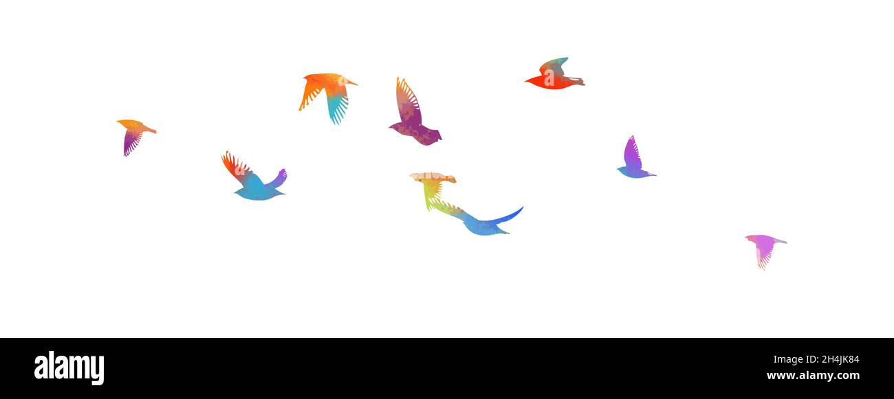 Colorful flying birds in the sky. Vector Stock Vector Image & Art - Alamy
