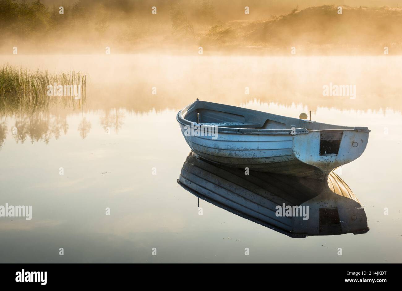 Uk rowing boat hi-res stock photography and images - Alamy