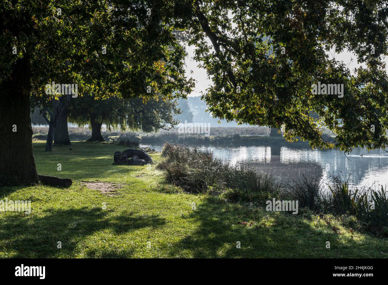 Low sun misty days hi-res stock photography and images - Alamy