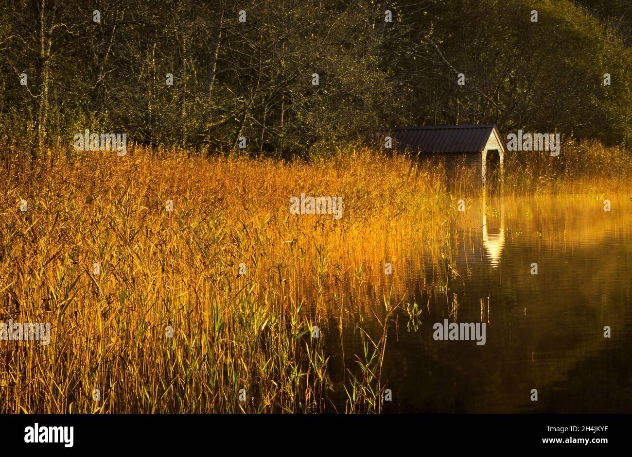 Boathouse scotland hi-res stock photography and images - Alamy