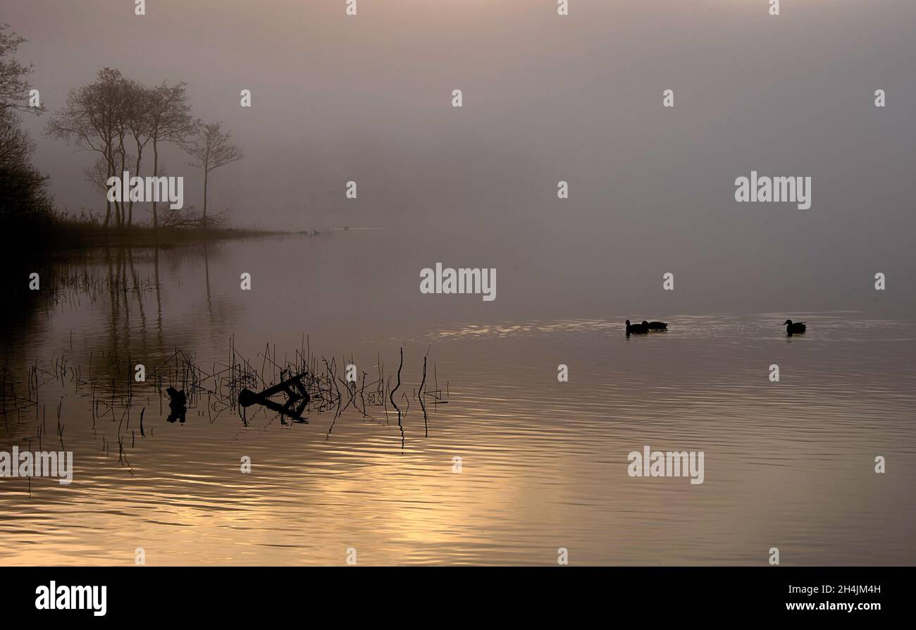 Loch ard mist hi-res stock photography and images - Alamy