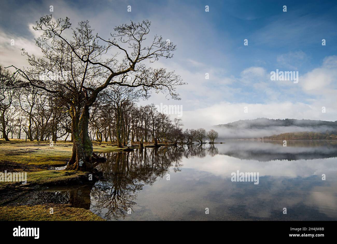 Loch ard mist hi-res stock photography and images - Alamy