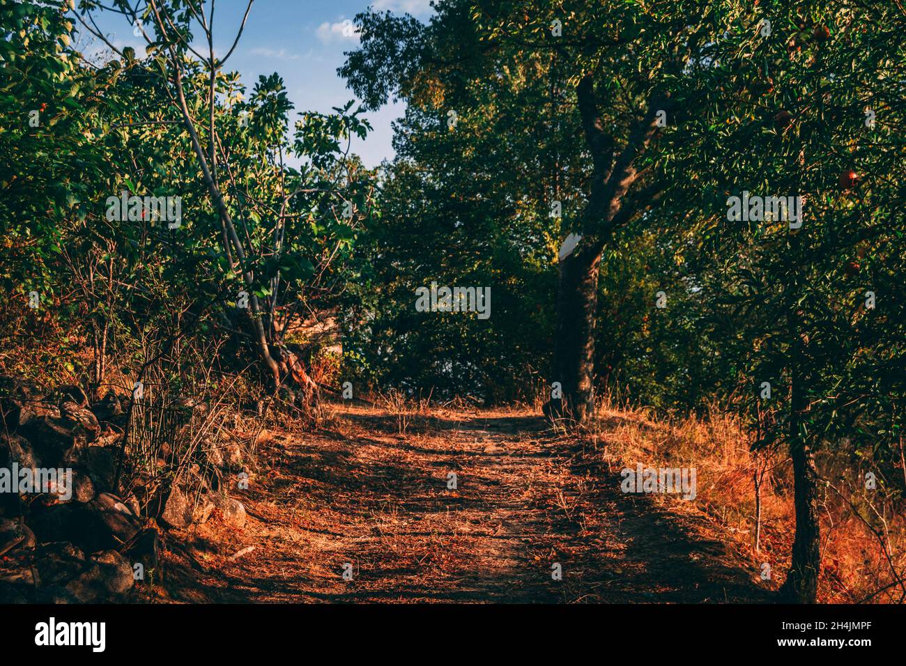 Colorful road hi-res stock photography and images - Alamy