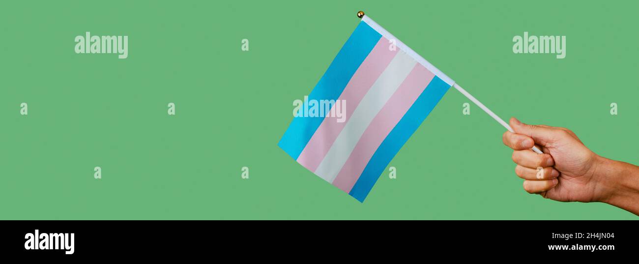 a young person waves a small transgender pride flag on a green ...