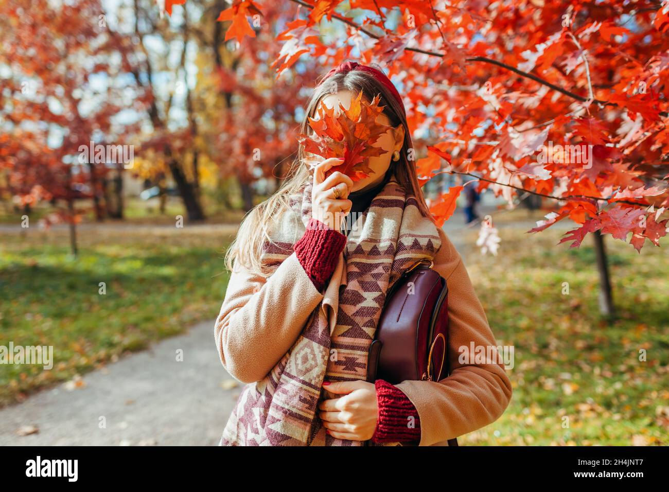 Hiding among trees hi-res stock photography and images - Alamy