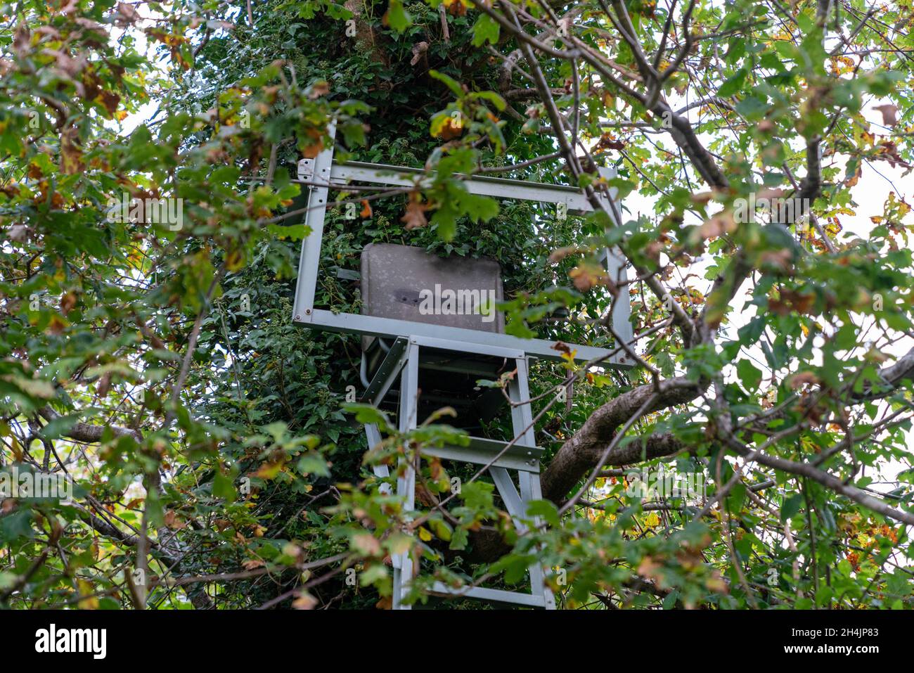 High and hunters seat in the forest hi-res stock photography and images ...