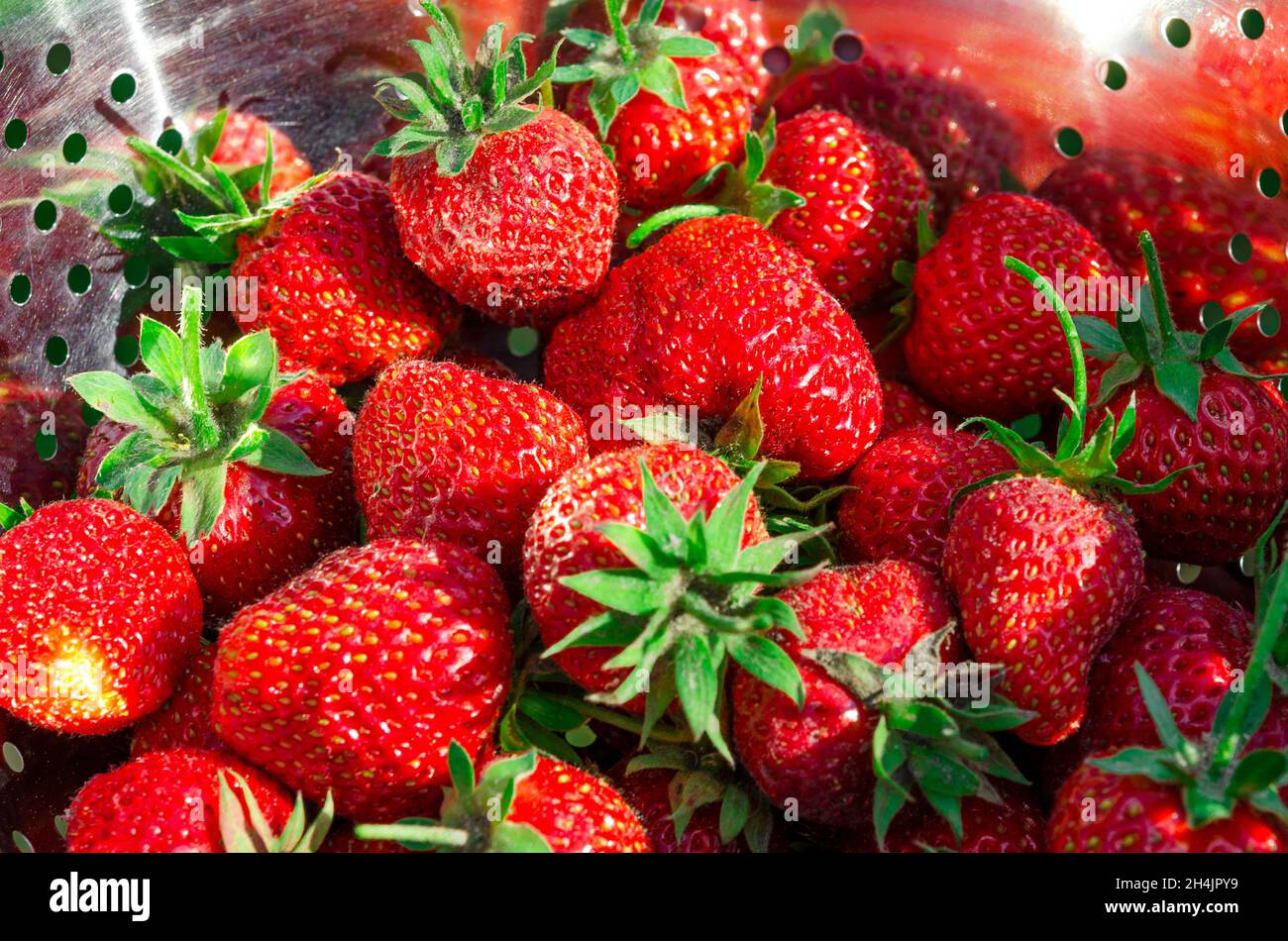 Strawberries background. Strawberry. Food background. Agriculture and ...