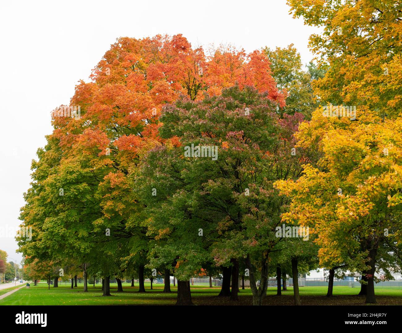 City of champaign hi-res stock photography and images - Alamy