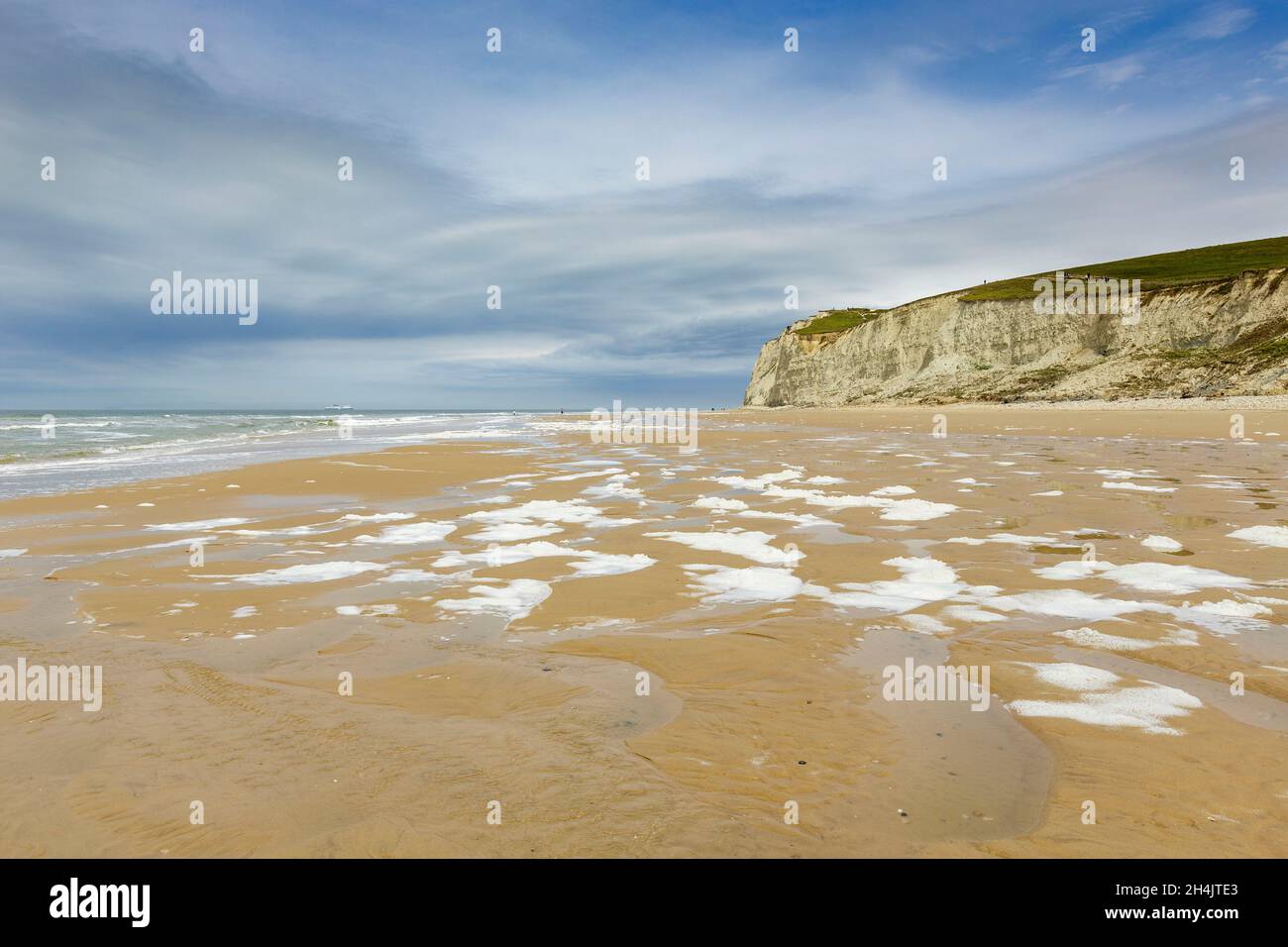 France, Pas de Calais, Cote d'Opale, Parc naturel regional des Caps et ...