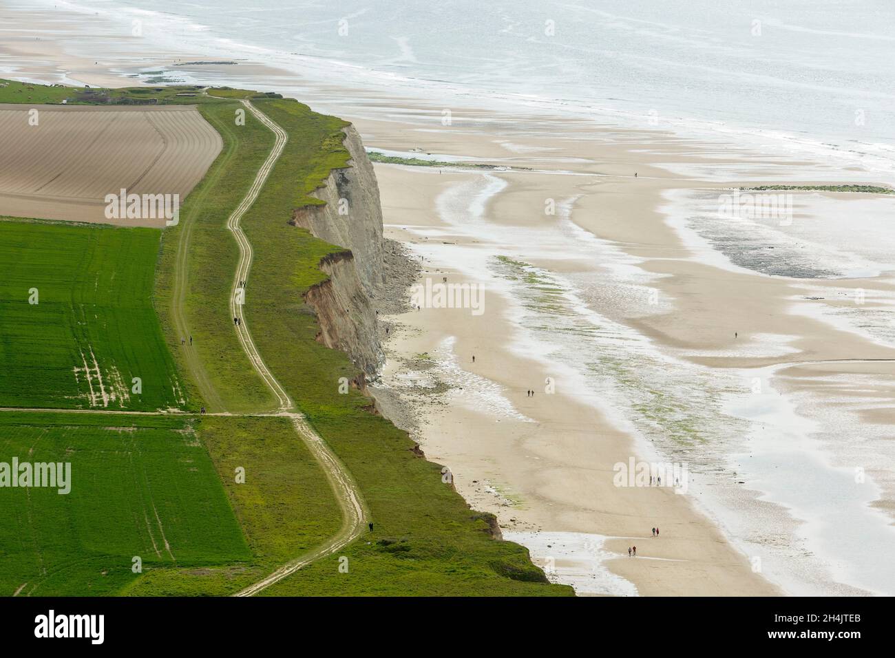 France, Pas de Calais, Cote d'Opale, Parc naturel regional des Caps et ...