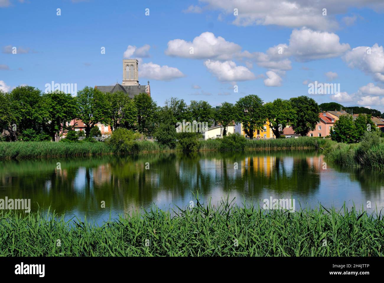Bull pond hi-res stock photography and images - Alamy
