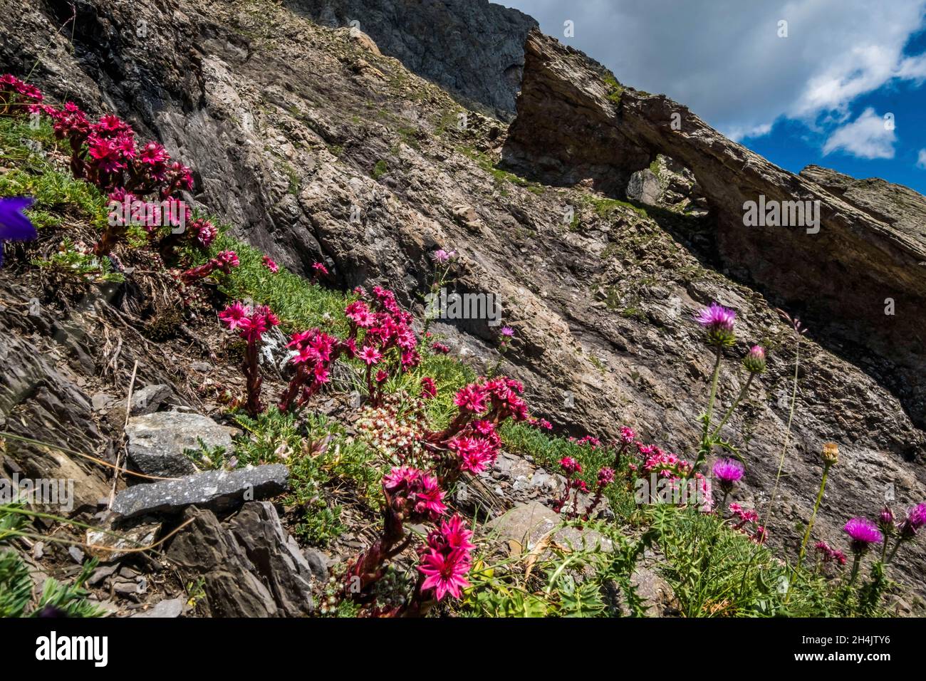 France, Hautes-Alpes, Champsaur, village of the Borels valley of ...