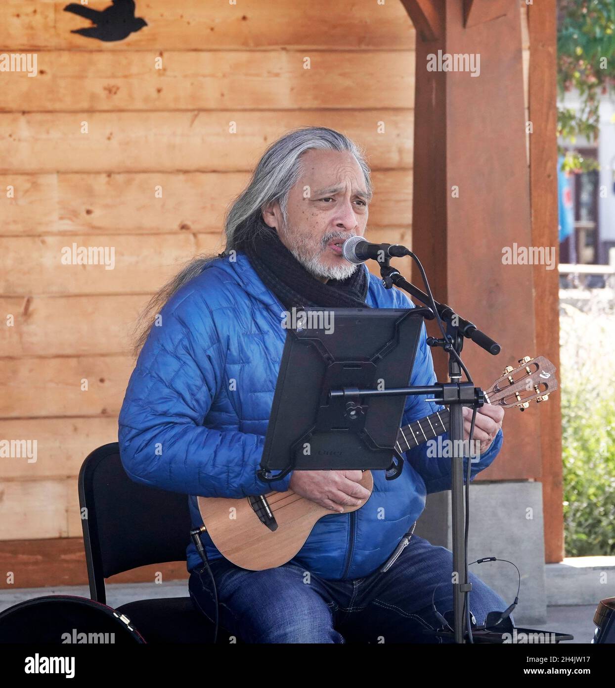 American musician songwriter hi-res stock photography and images - Alamy