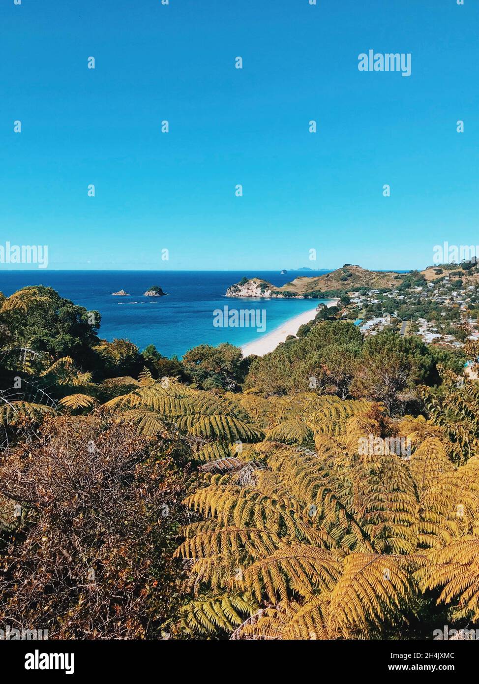 Aerial view of beach landscape and Tasman Sea, Abel Tasman National ...