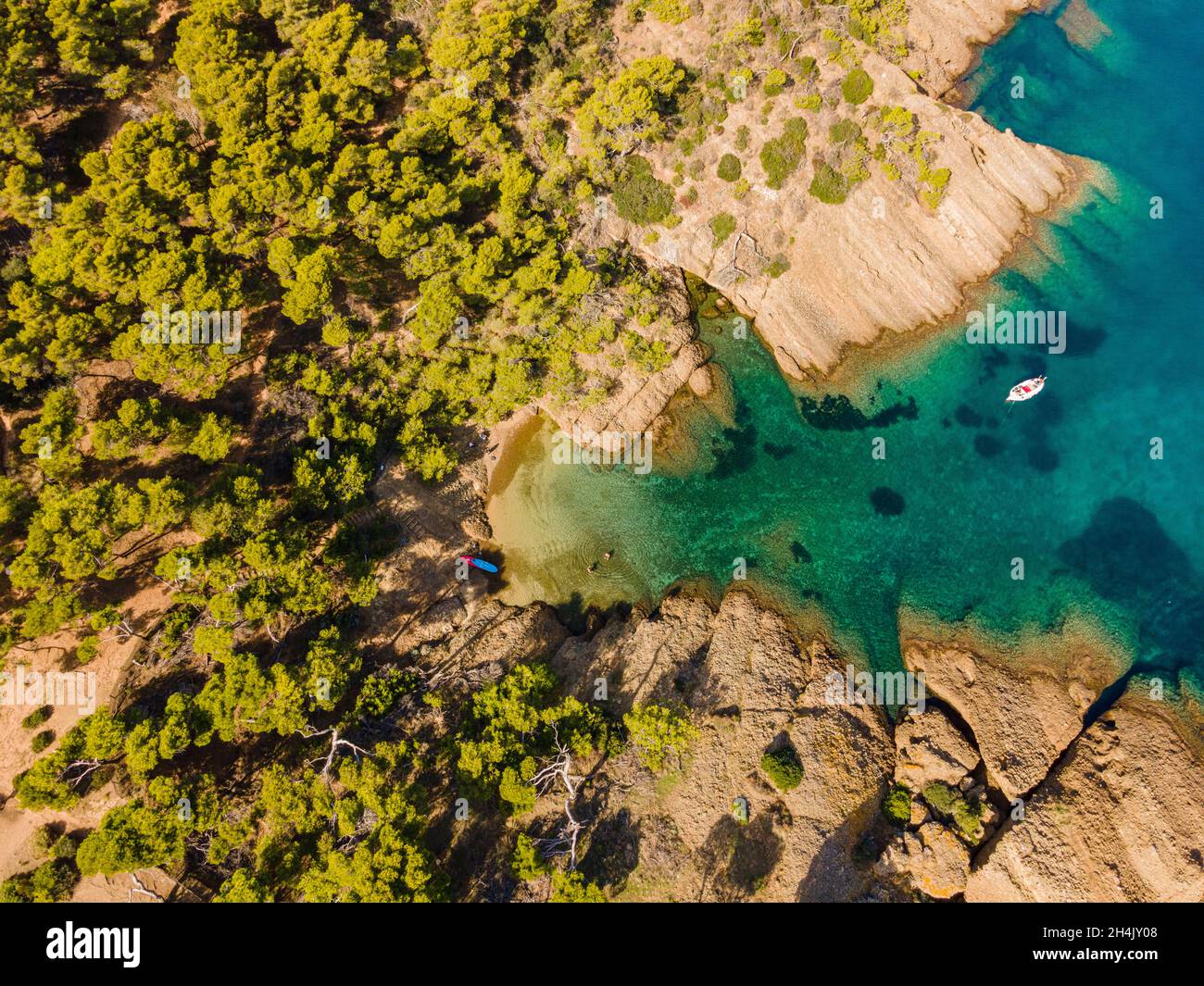 France, Bouches du Rhone, Calanques National Park, La Ciotat, ?le Verte ...