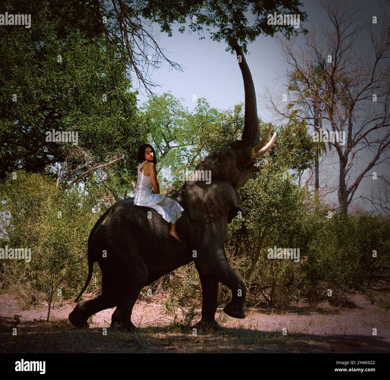 Digital composite caucasian woman riding hi-res stock photography and ...