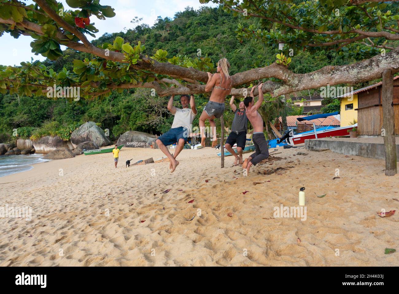 Brazil, Rio de Janeiro state, Caicu?u protected area, Small series of ...