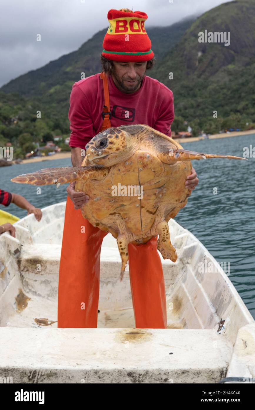 Turtle fishing nets hi-res stock photography and images - Alamy