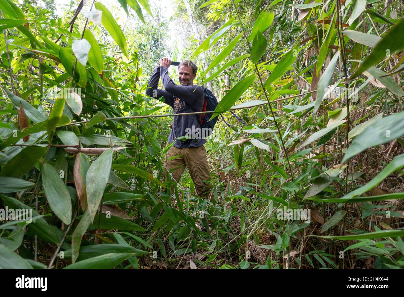 Machete jungle hi-res stock photography and images - Alamy