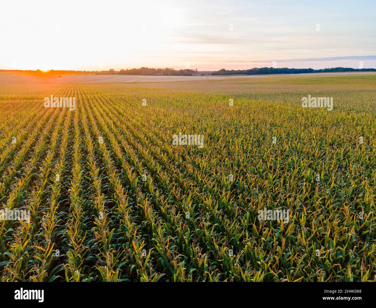 Corn fields aerial hi-res stock photography and images - Alamy