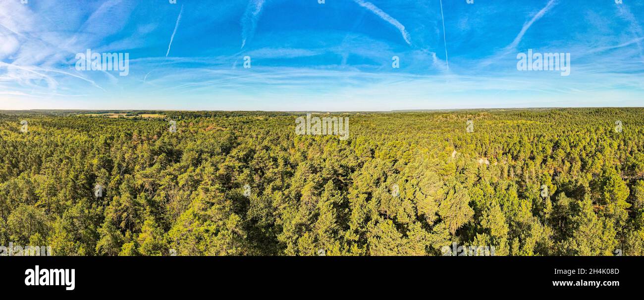 Fontainebleau forest aerial hi-res stock photography and images - Alamy