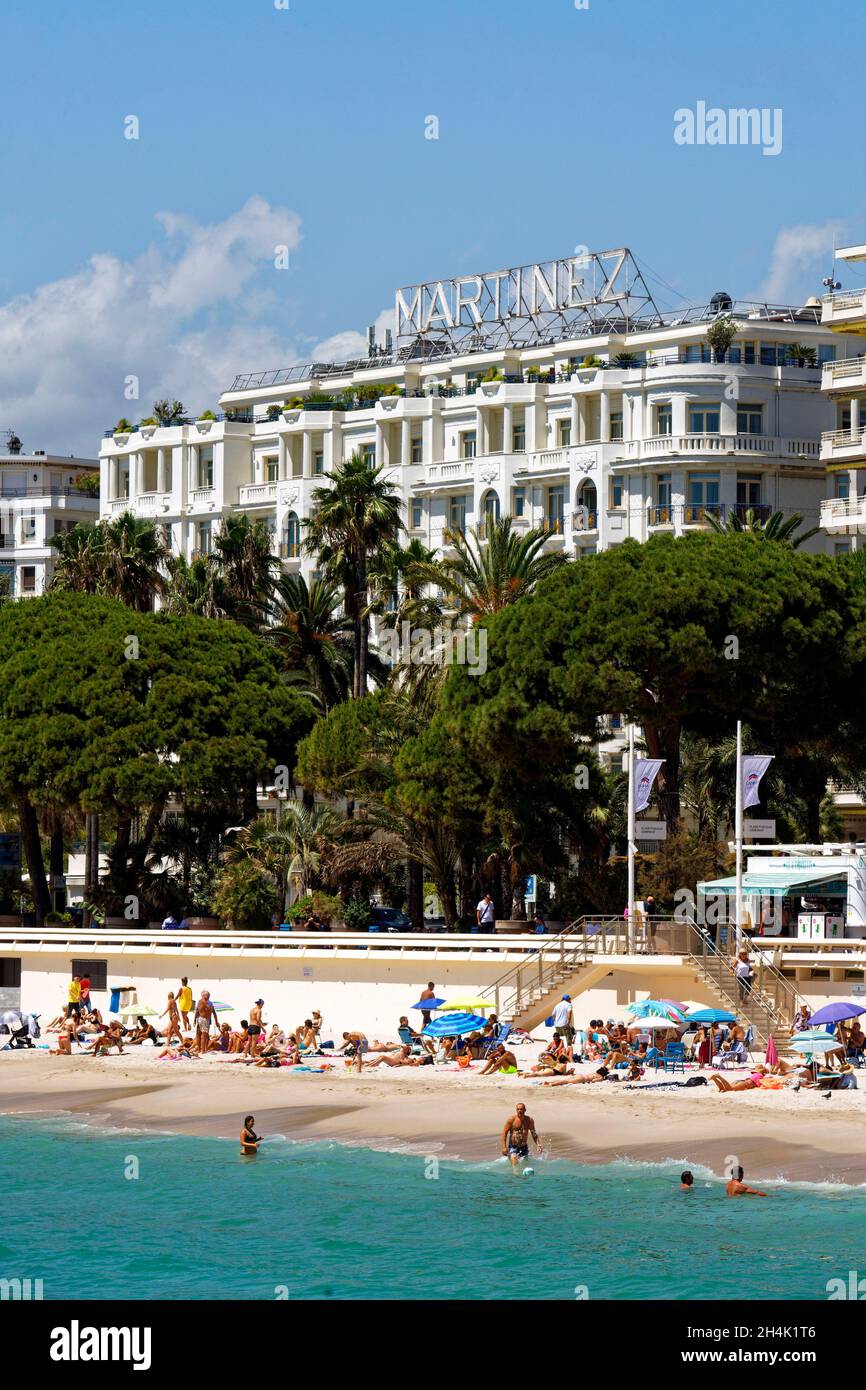 France, Alpes-Maritimes, Cannes, La Croisette, long promenade lined ...
