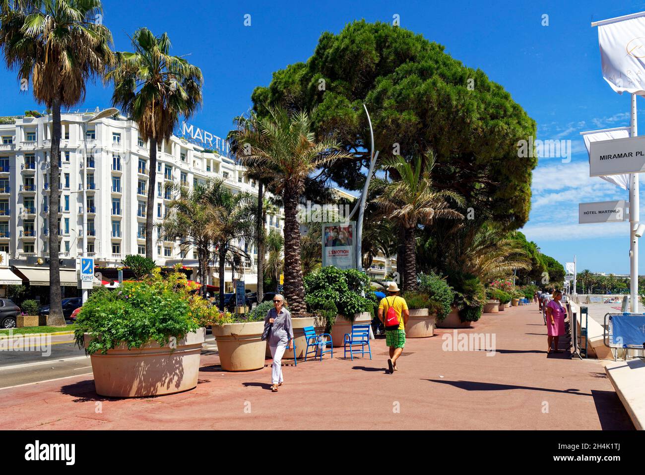 France, Alpes-Maritimes, Cannes, La Croisette, long promenade lined with palm and pine trees ...