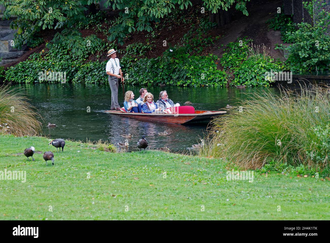 punting, man paddling, 4 passengers, sightseeing, Avon River, ducks ...