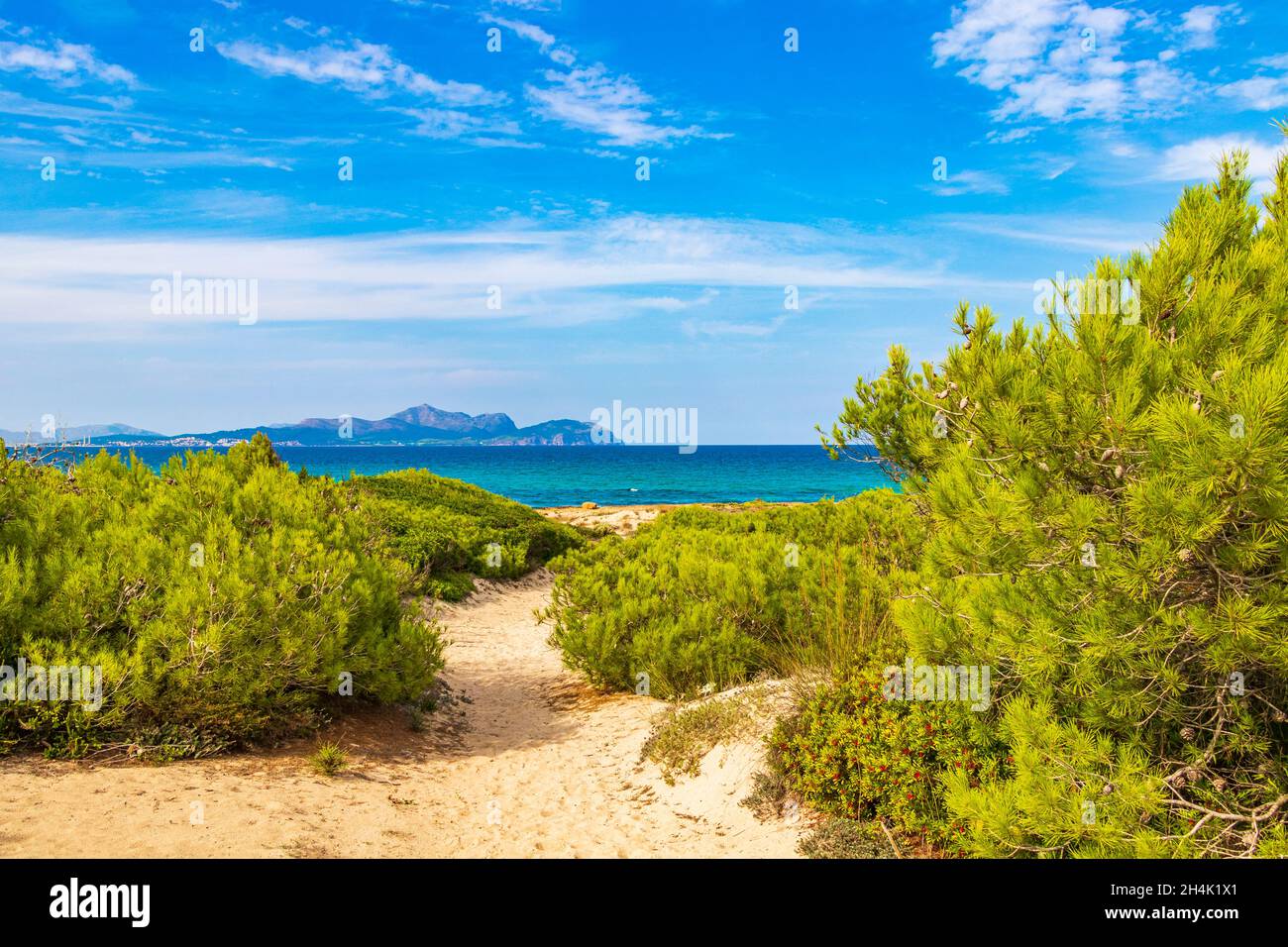 Path thru rough natural coastal and beach landscape panorama with ...
