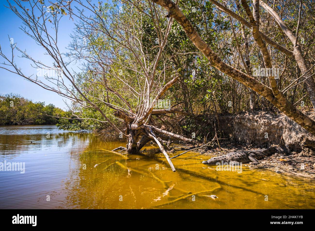 United States, Florida, Everglades National Park listed as World ...